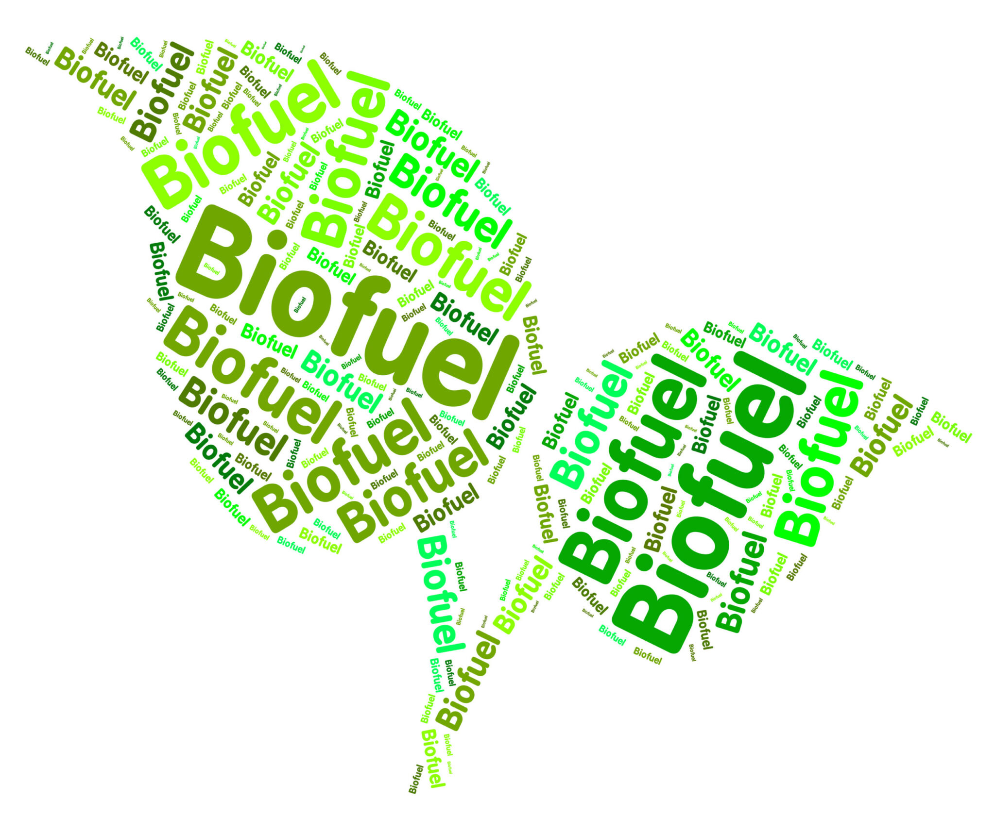 Biofuels & e-Fuels Training Course - Petrogenium
